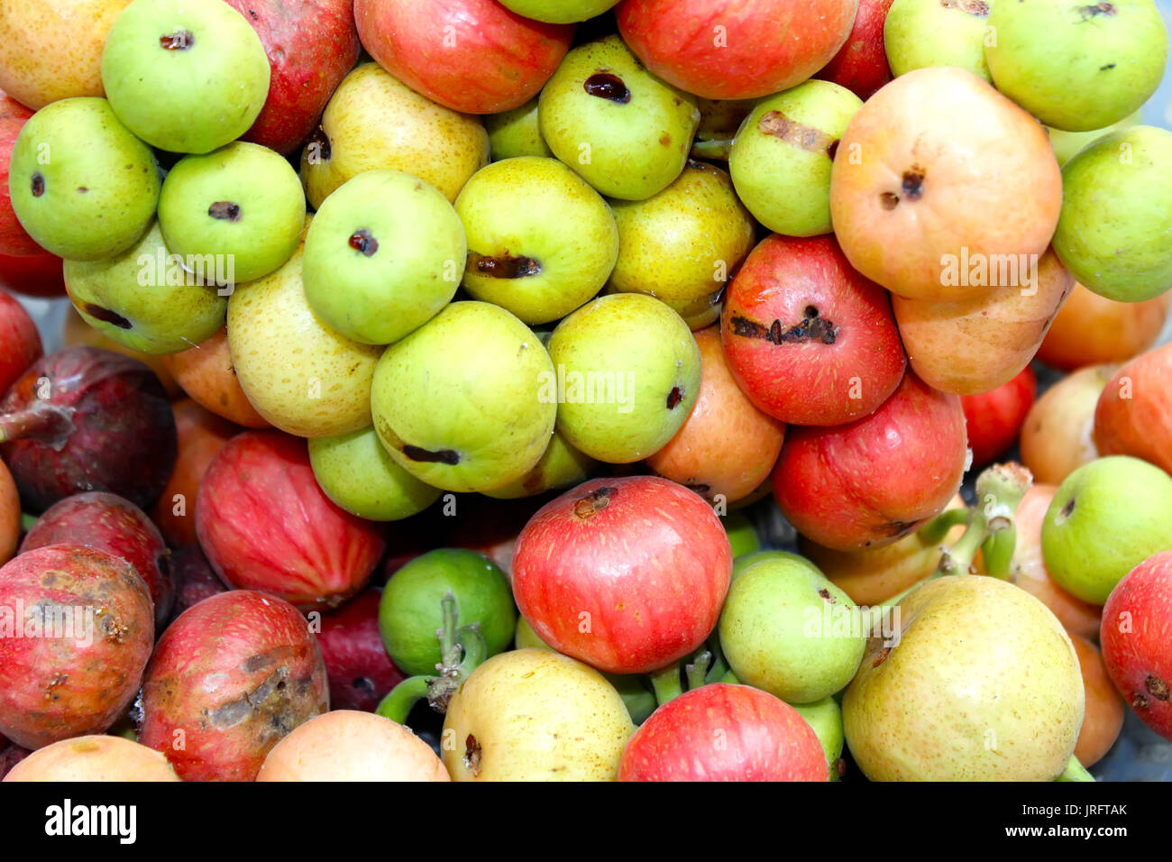 Fig tree bunch leaves fruit hi-res stock photography and images - Alamy