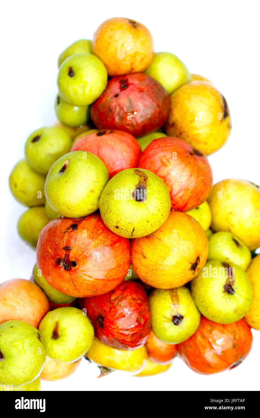 Fig tree bunch leaves fruit hi-res stock photography and images - Alamy