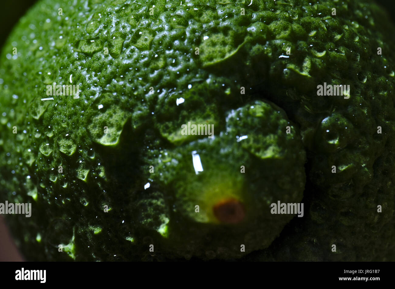 Lemon macro hi-res stock photography and images - Alamy