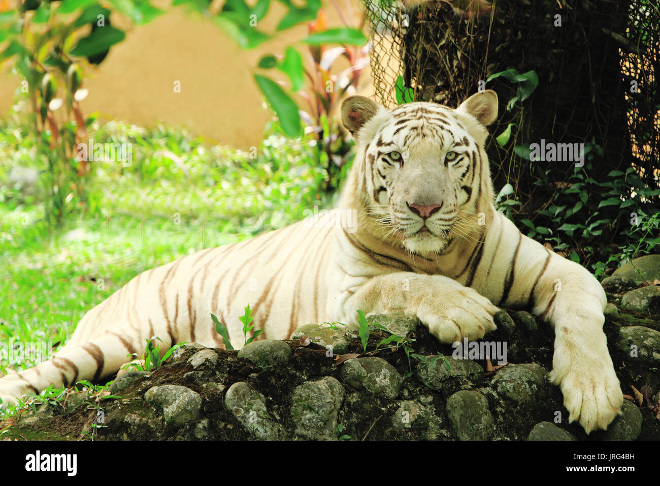 Rest danger hi-res stock photography and images - Alamy