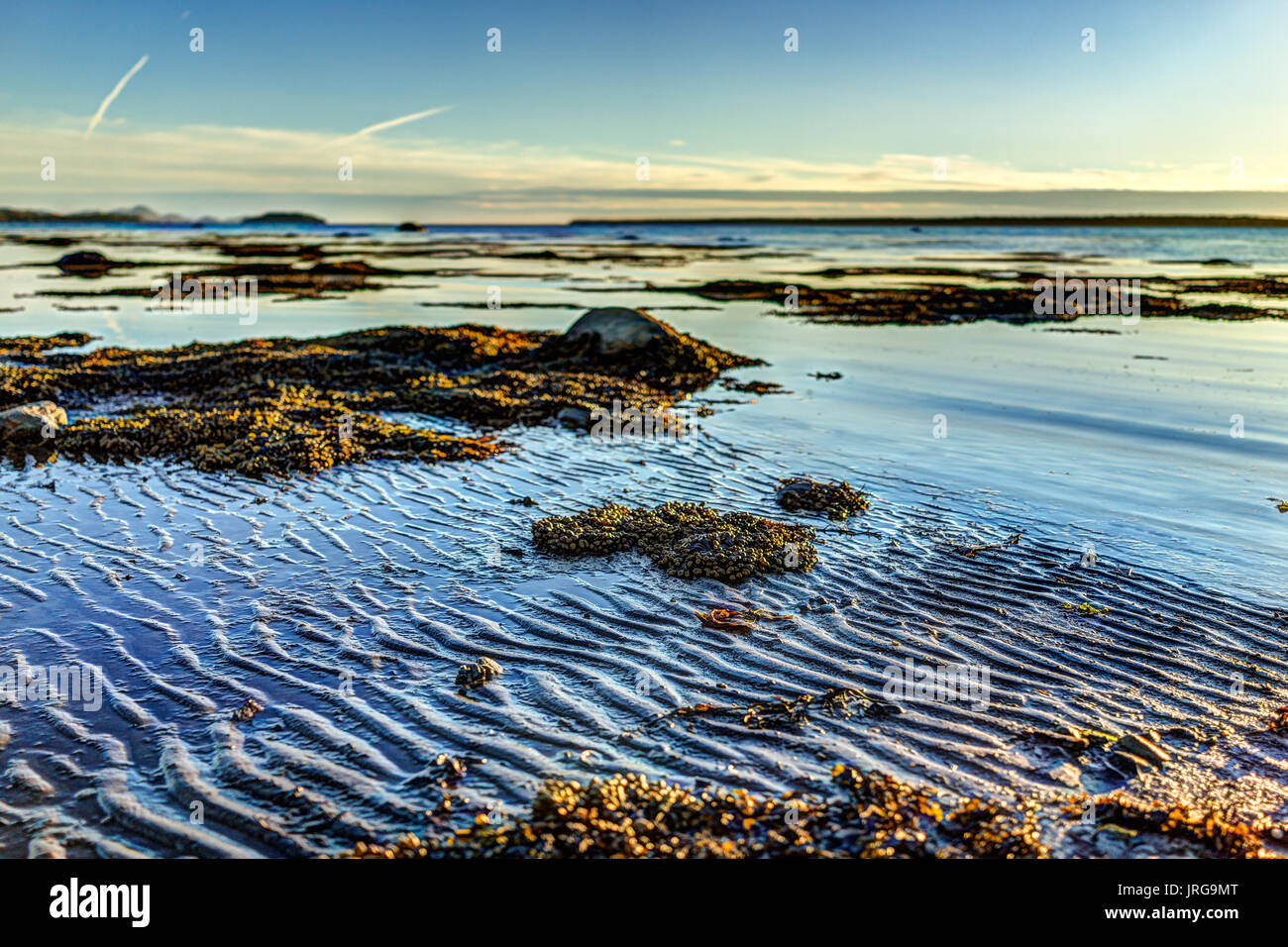 Sunset in Rimouski, Quebec by Saint Lawrence river in Gaspesie region ...