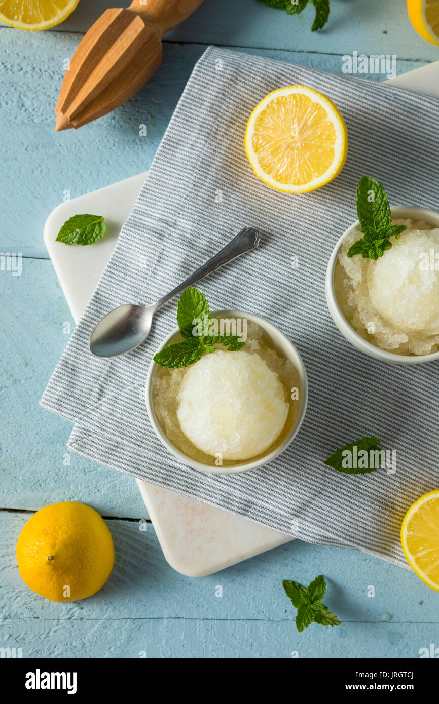 Homemade Yellow Lemon Italian Ice in a Bowl Stock Photo - Alamy