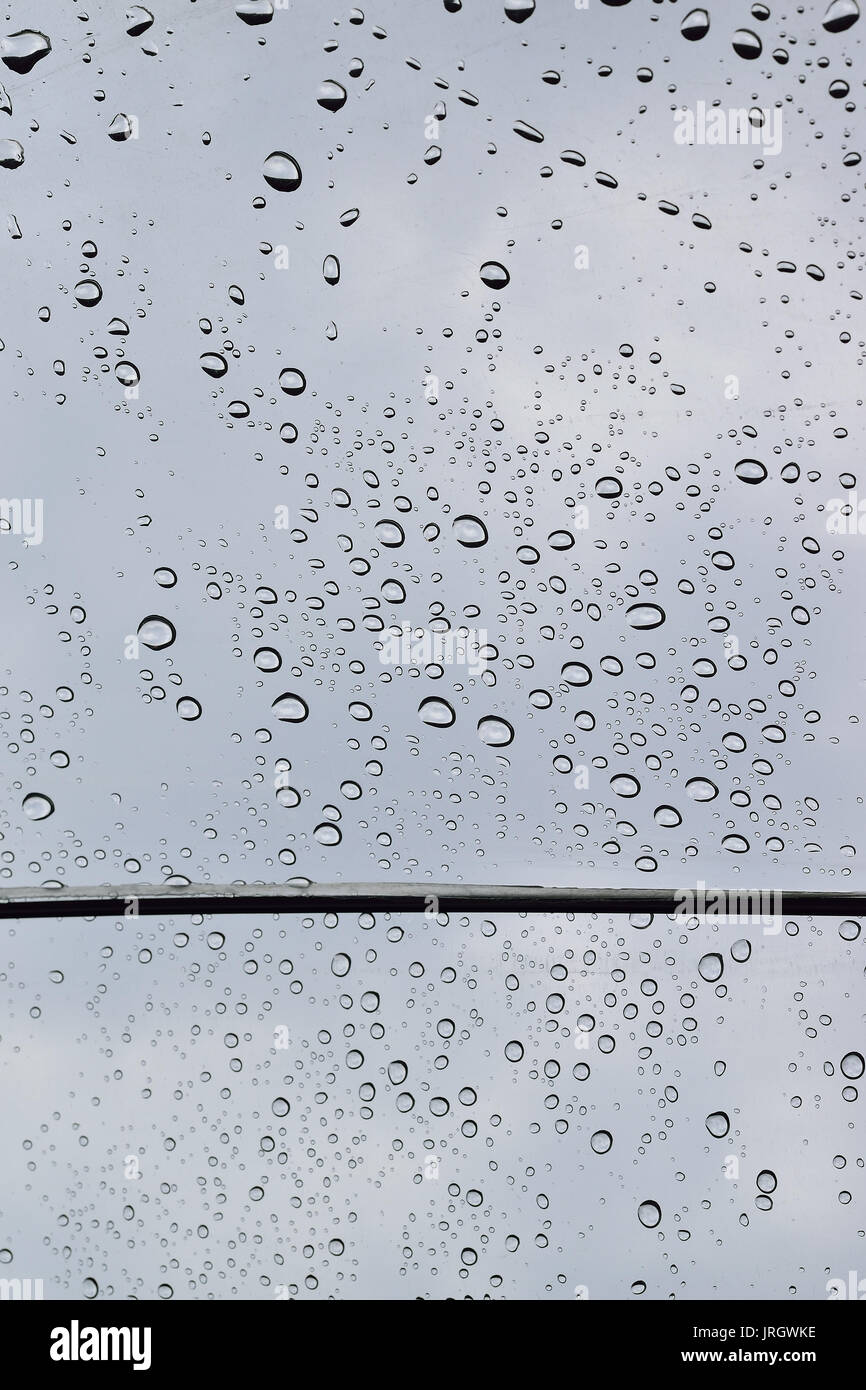 Macro texture of rain droplets on clear plastic umbrella Stock Photo ...
