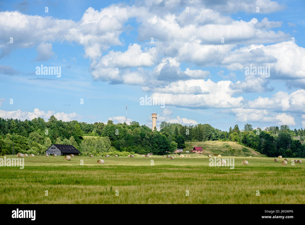Summer Landscape with Wheat Field and Clouds in latvia Stock Photo - Alamy