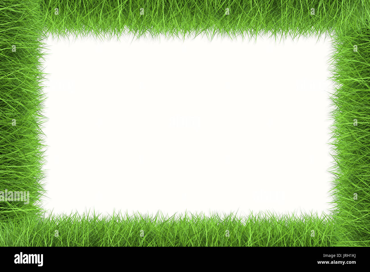 3d rendering green grass frame on white background Stock Photo - Alamy