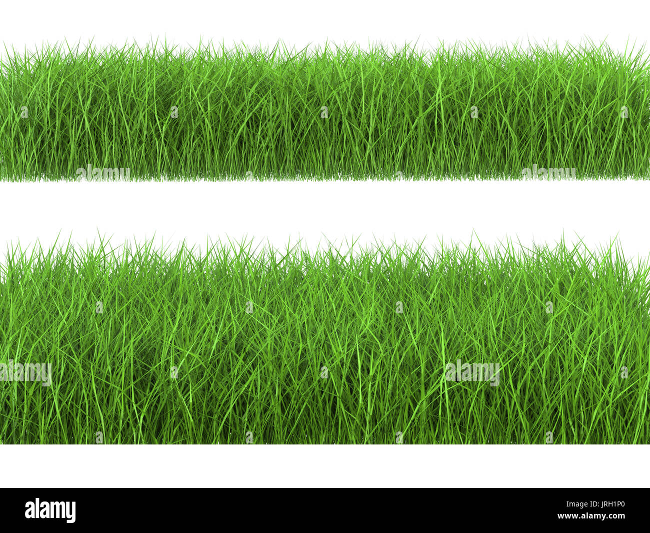 3d rendering green grass on white background Stock Photo - Alamy