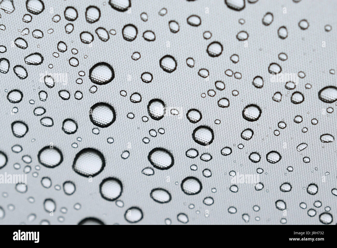 Macro texture of rain droplets on clear plastic umbrella Stock Photo ...