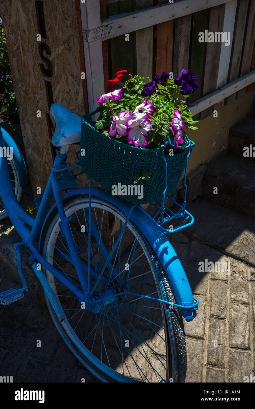 Old blue bike with flowers as a travel concept Stock Photo - Alamy