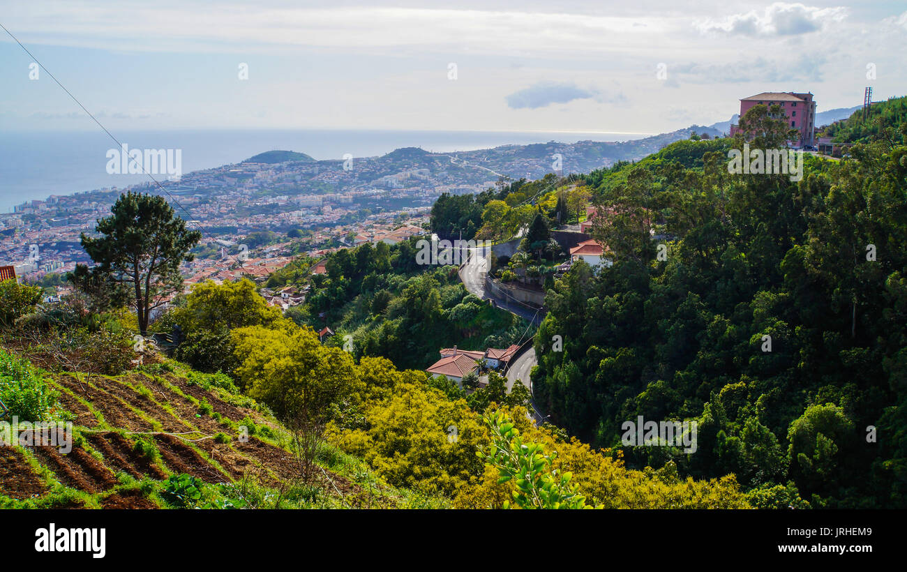 Madeira - City of Funchal from Monte with green trees, houses and ocean ...