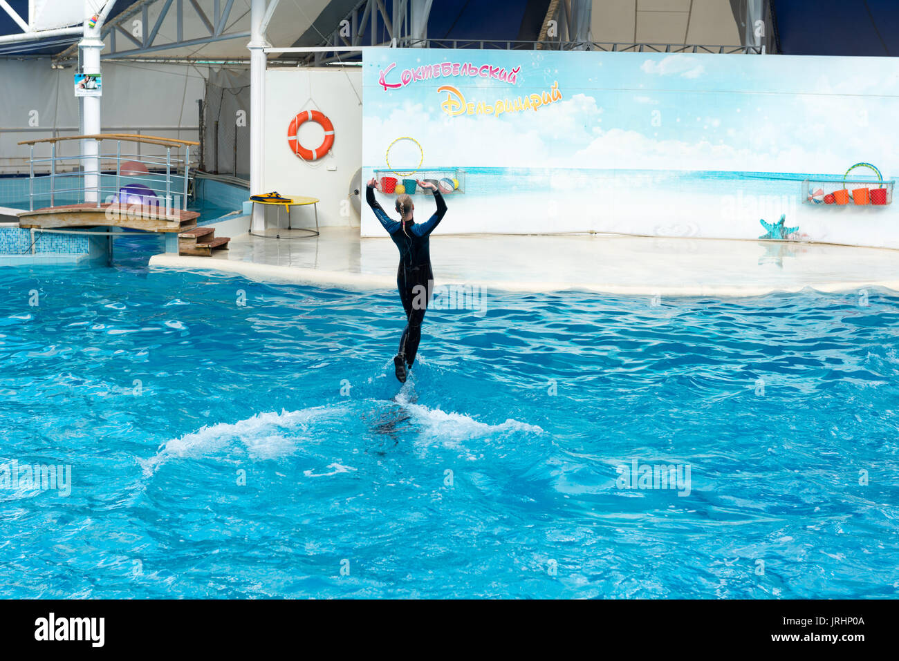 KOKTEBEL, RUSSIA - September 20, 2013 - Dolphin show scene. Playful ...