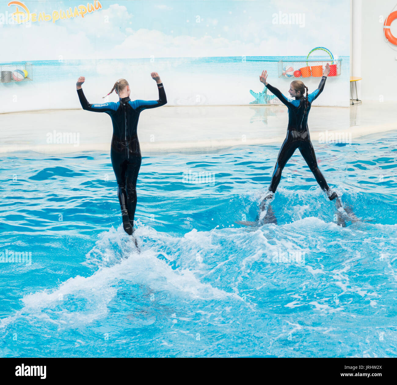 Dolphin show scene Stock Photo - Alamy