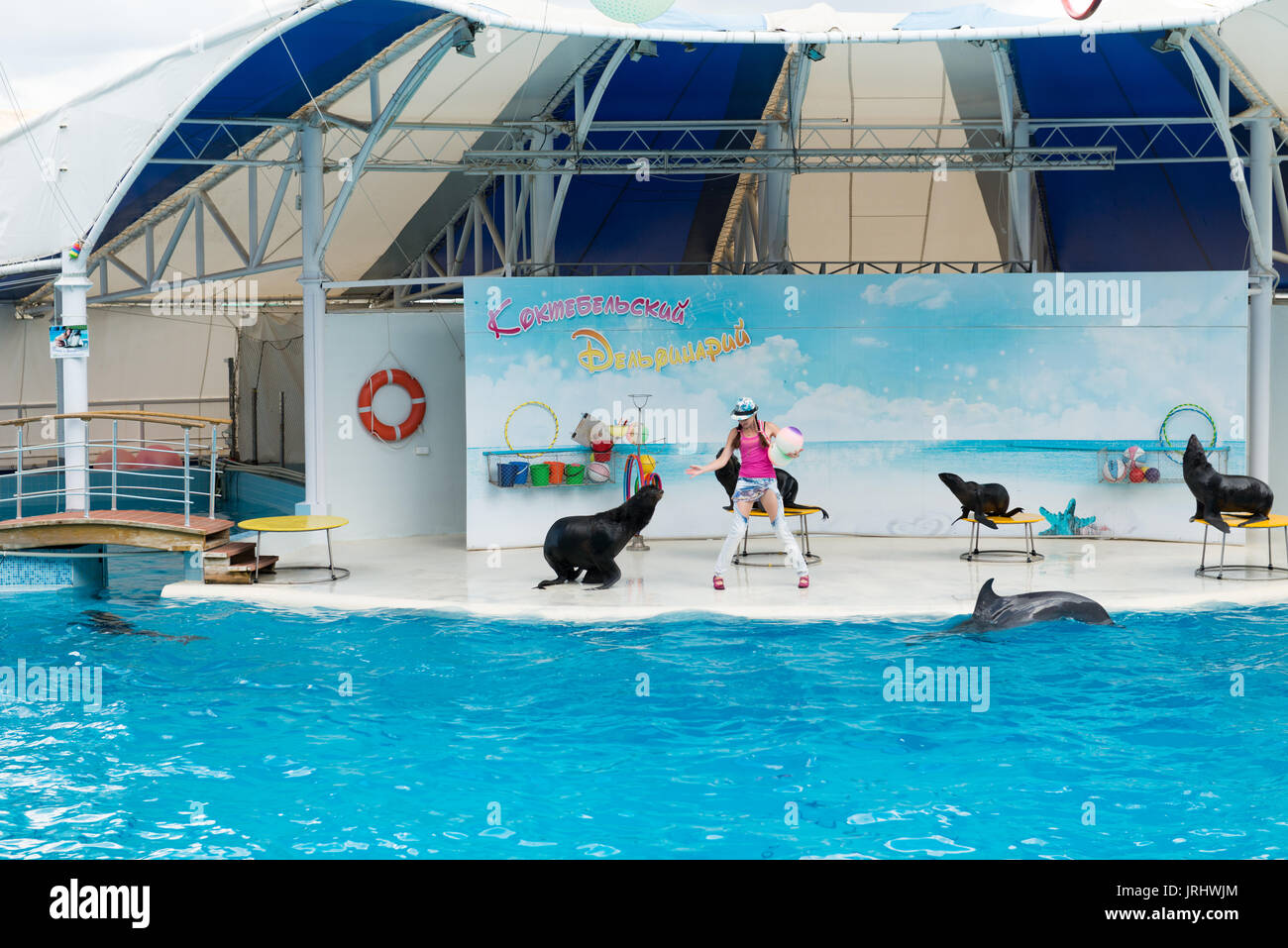 Dolphin stunt hi-res stock photography and images - Alamy