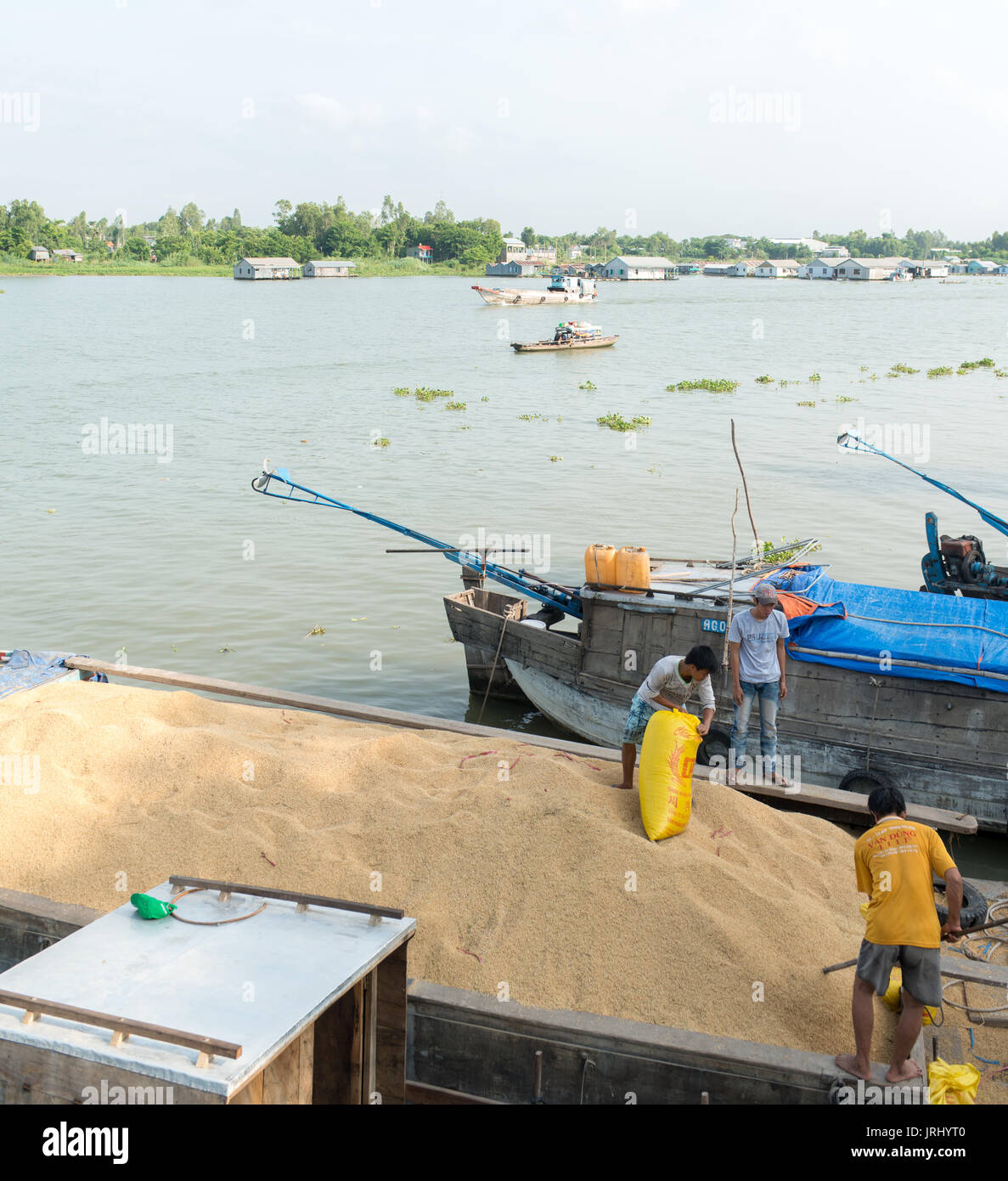 Workers loading rice Stock Photo - Alamy