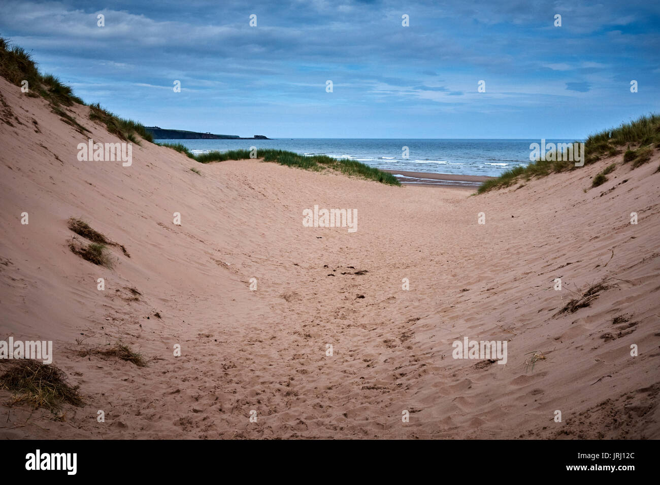 Angus beach hi-res stock photography and images - Alamy
