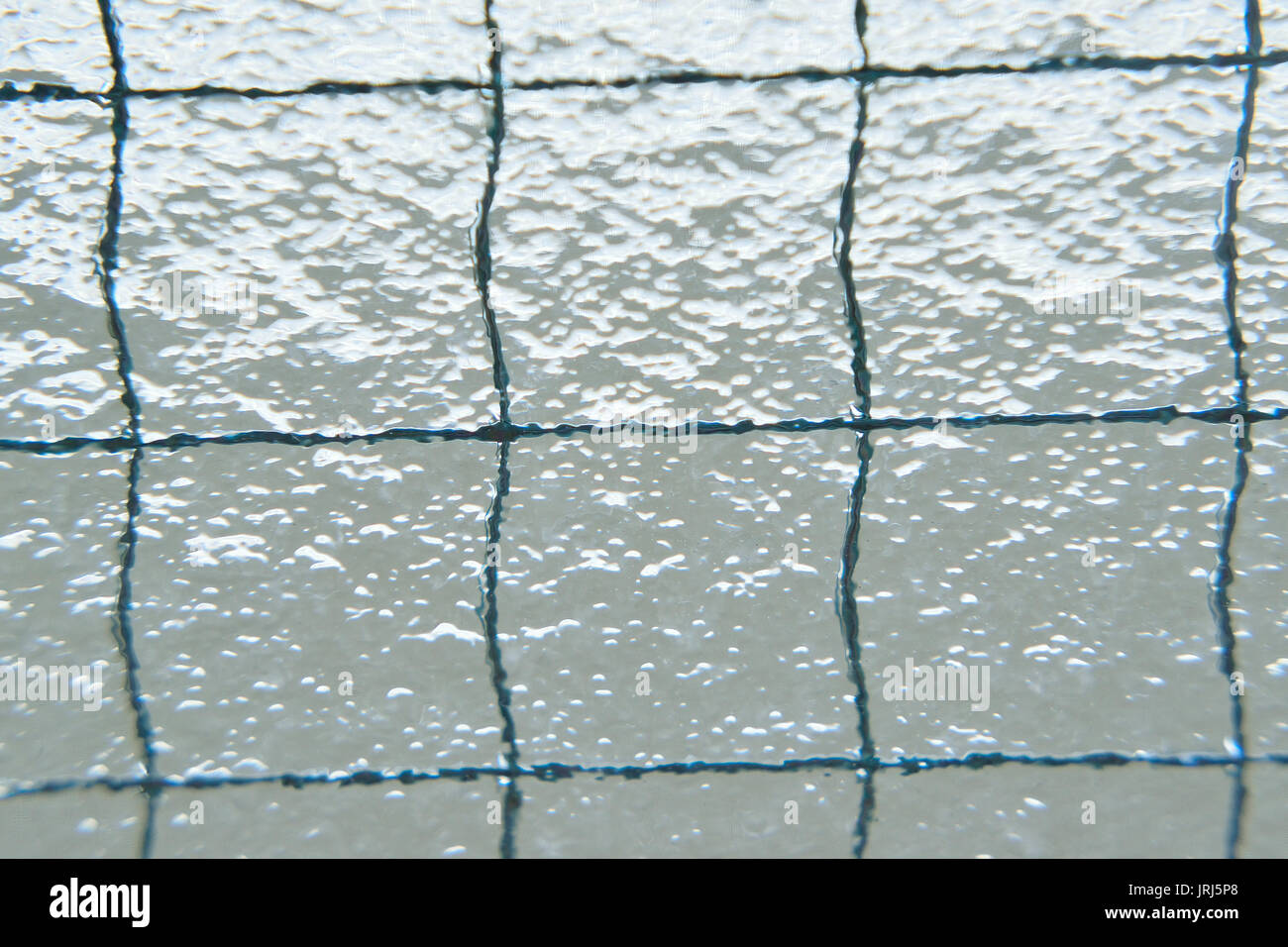 Wire blue translucent hi-res stock photography and images - Alamy