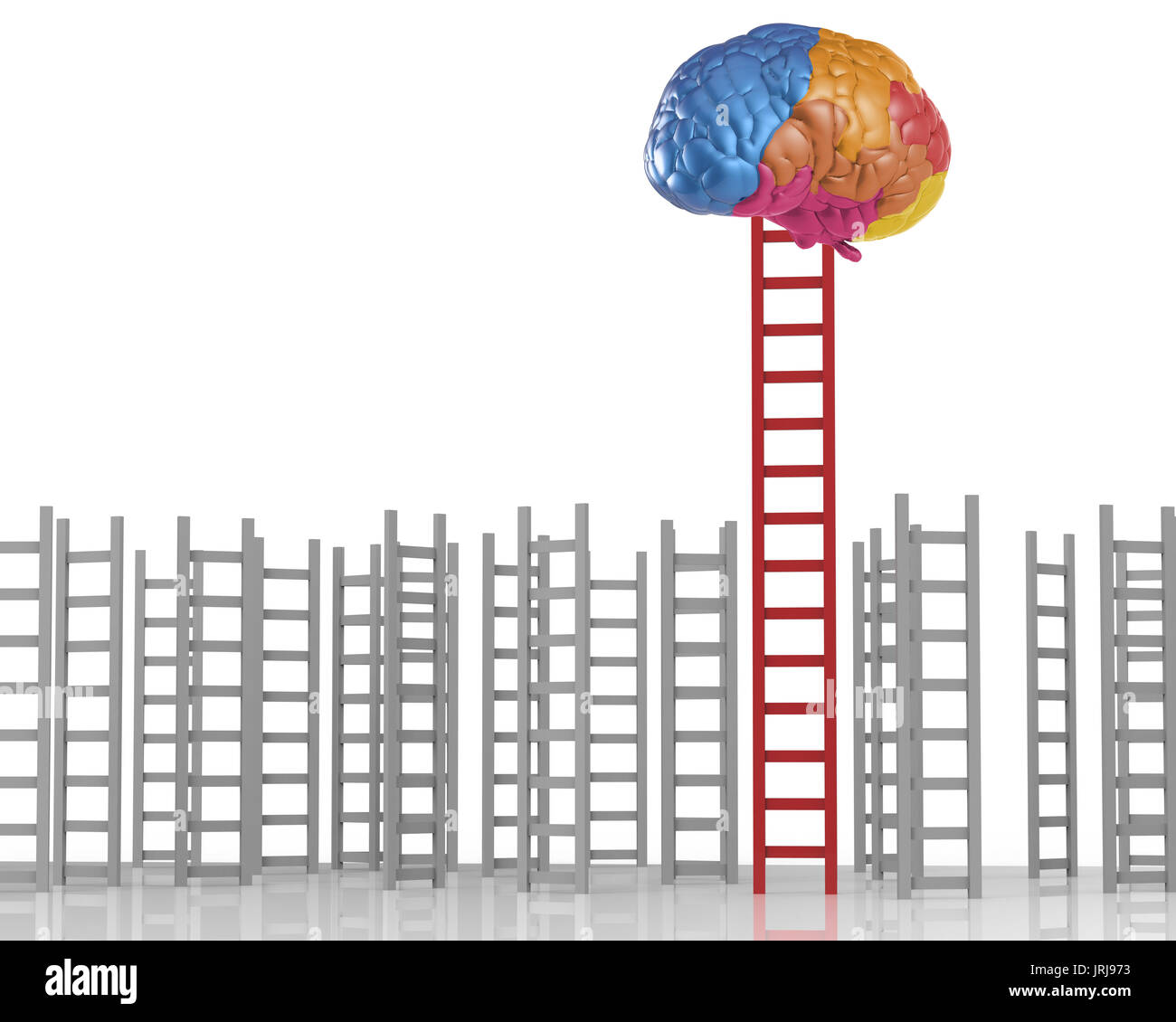 ladder to success concept with colourful brain and ladder Stock Photo ...