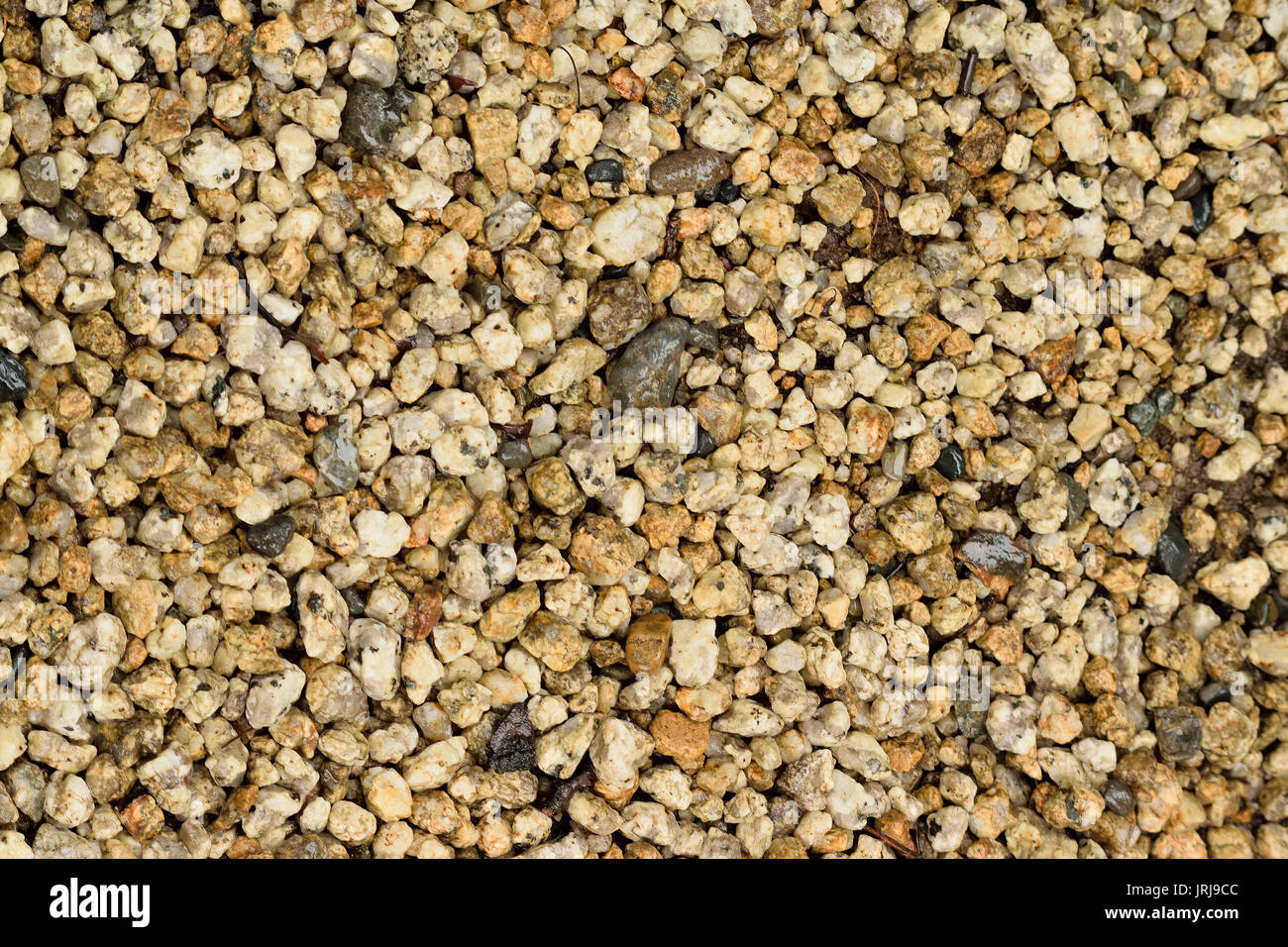 Background texture of small pebbles soaked in rain water Stock Photo ...
