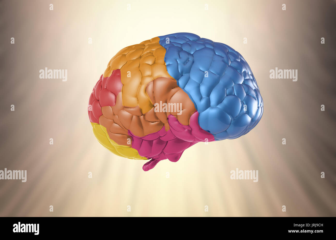 creativity concept with 3d rendering colorful brain Stock Photo - Alamy