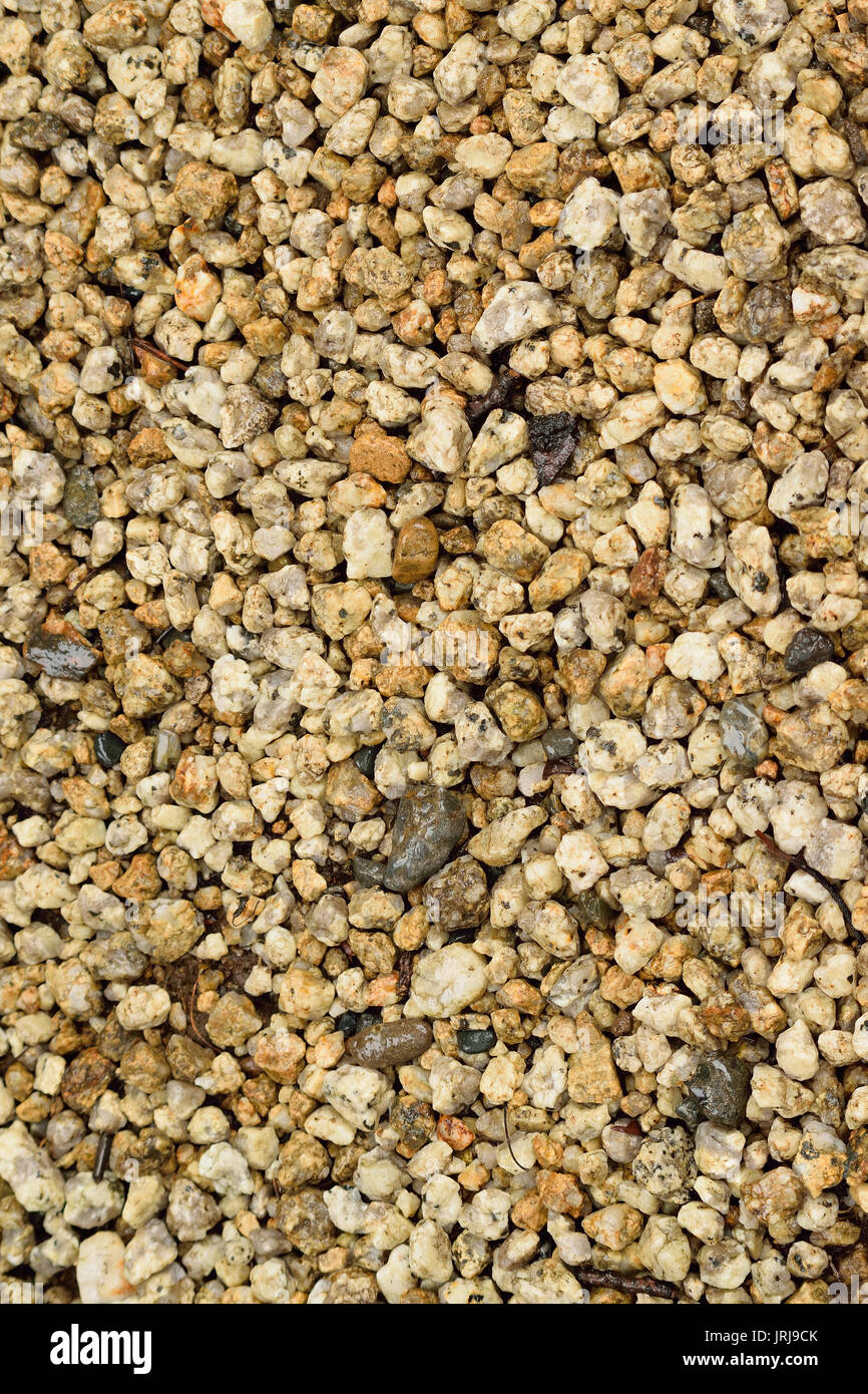 Background texture of small pebbles soaked in rain water Stock Photo ...