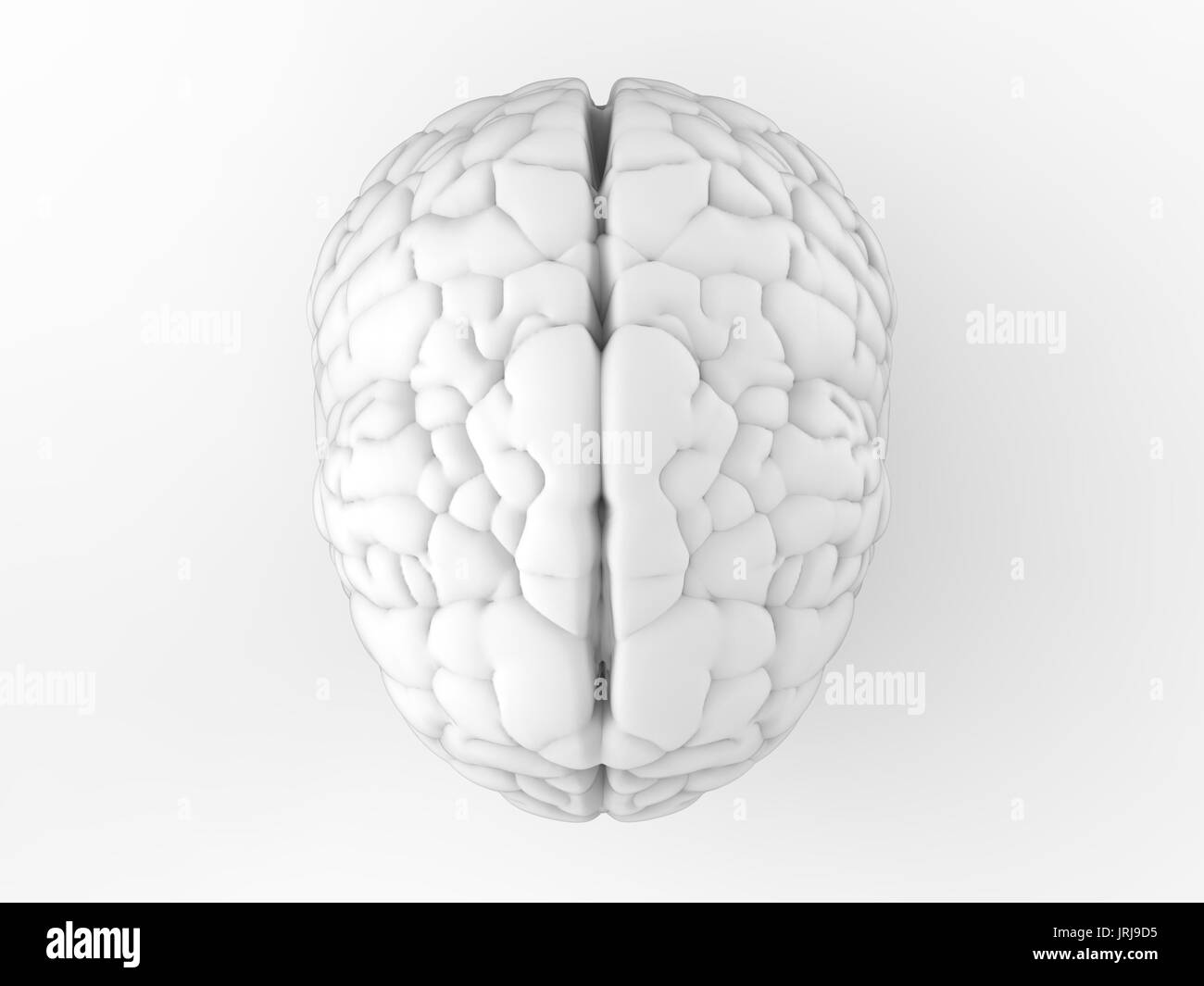 3d rendering white brain on white background Stock Photo - Alamy