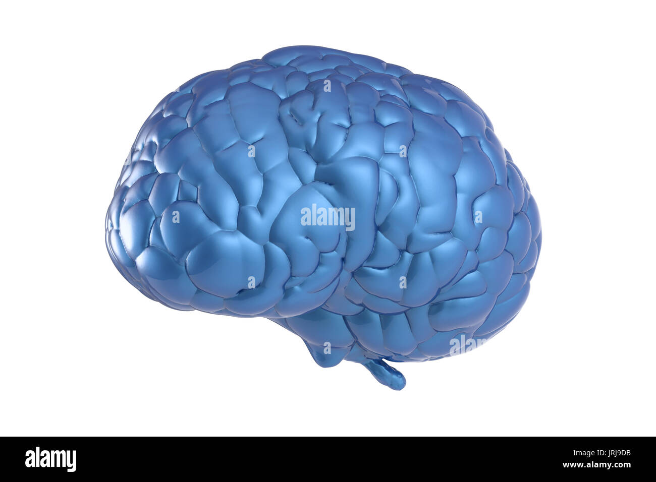 Blue brain hi-res stock photography and images - Alamy