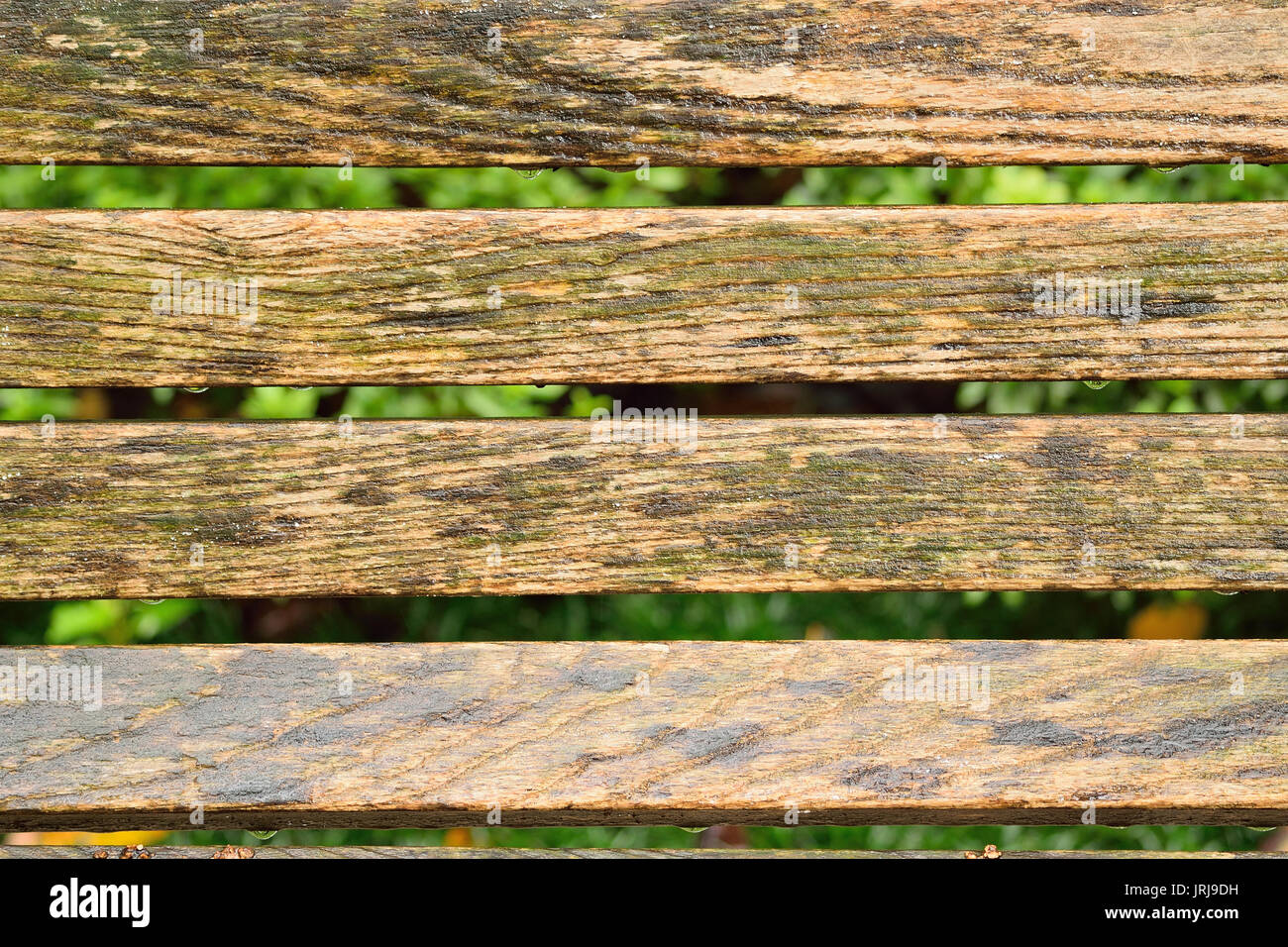 Background Texture Old Wooden bench Stock Photo - Alamy