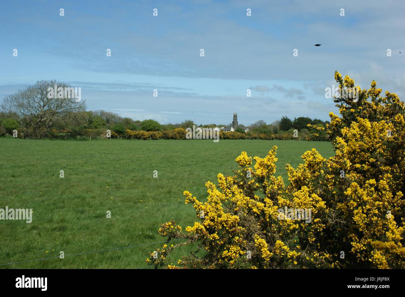 Fallow fields with Ballaugh Church in background Isle of Man Stock ...