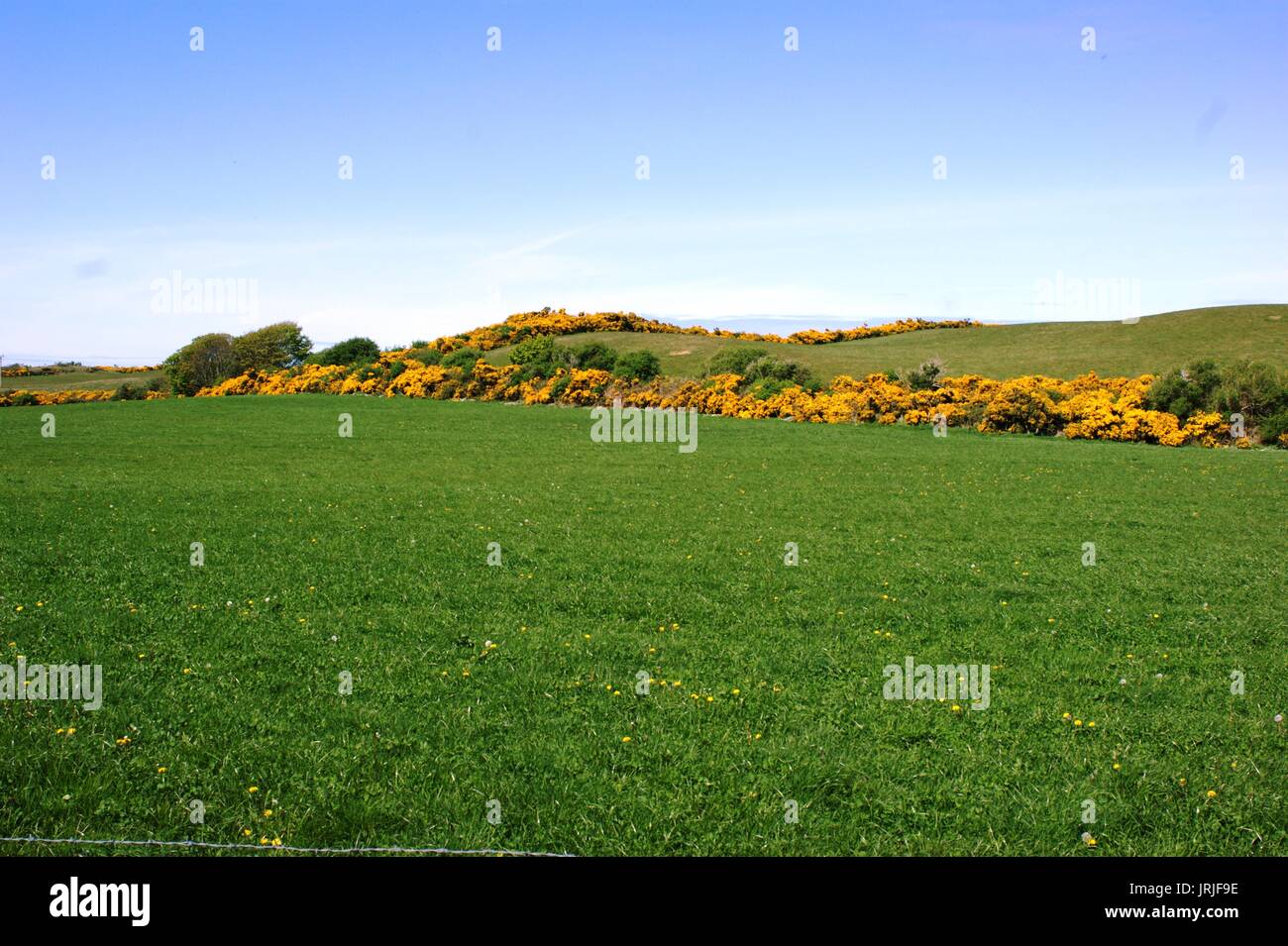 Ballaugh Isle Of Man High Resolution Stock Photography and Images - Alamy