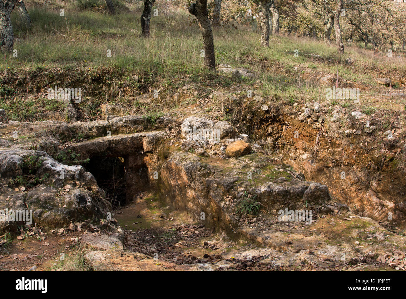 The nekropolis of Armeni was a late Minoan cemetery in an oak tree ...