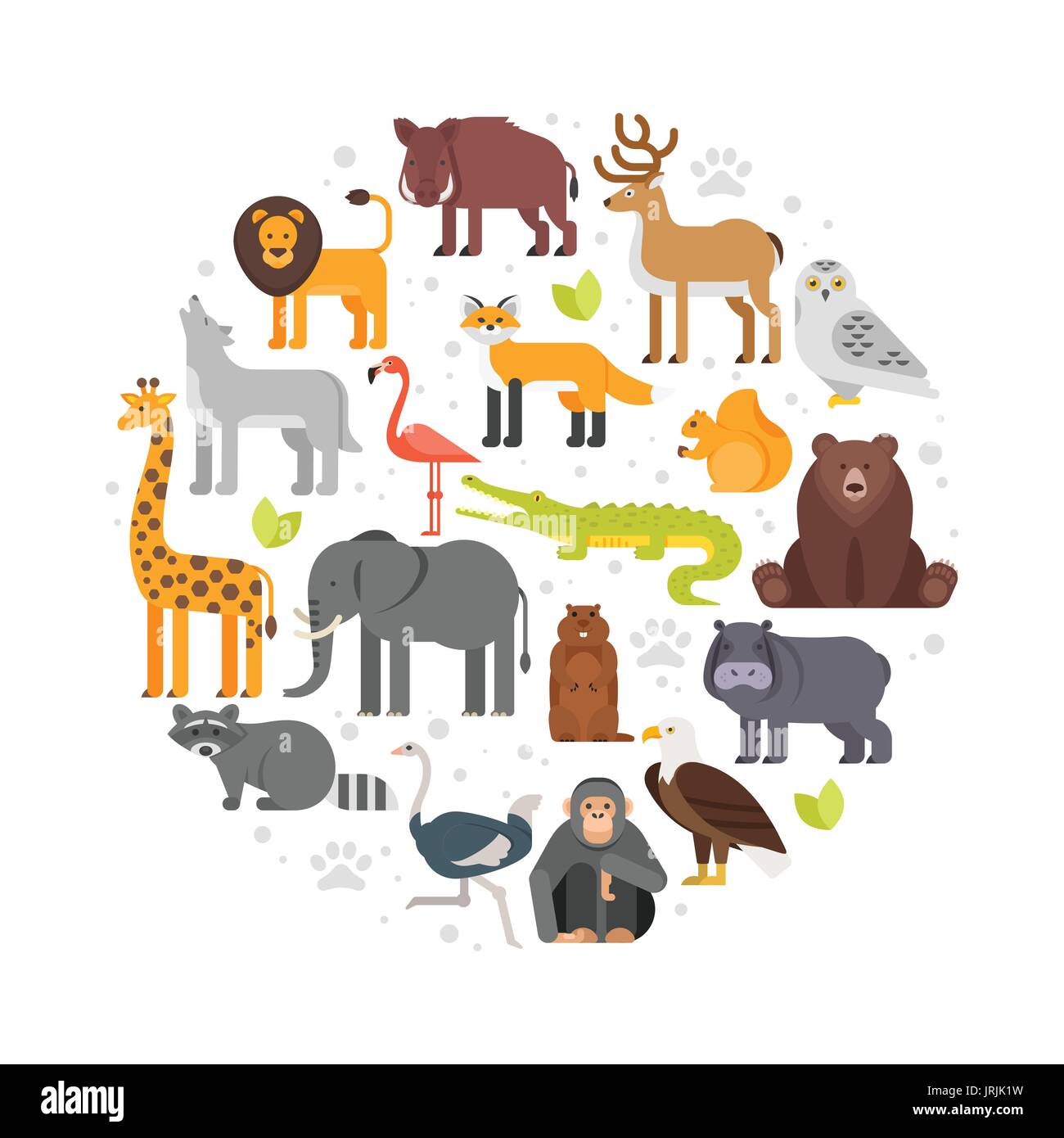 Vector flat style round composition of zoo animals icons. Isolated on ...