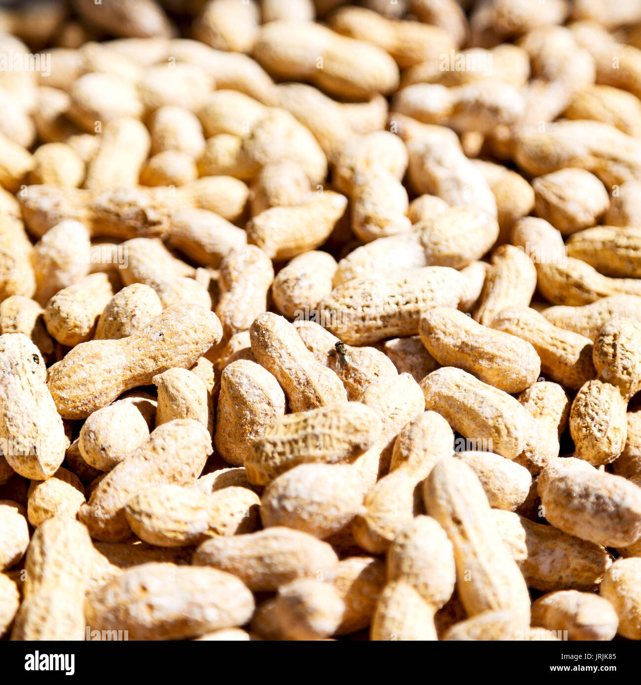 in the market lots of peanuts like concept of healthy food and snack ...