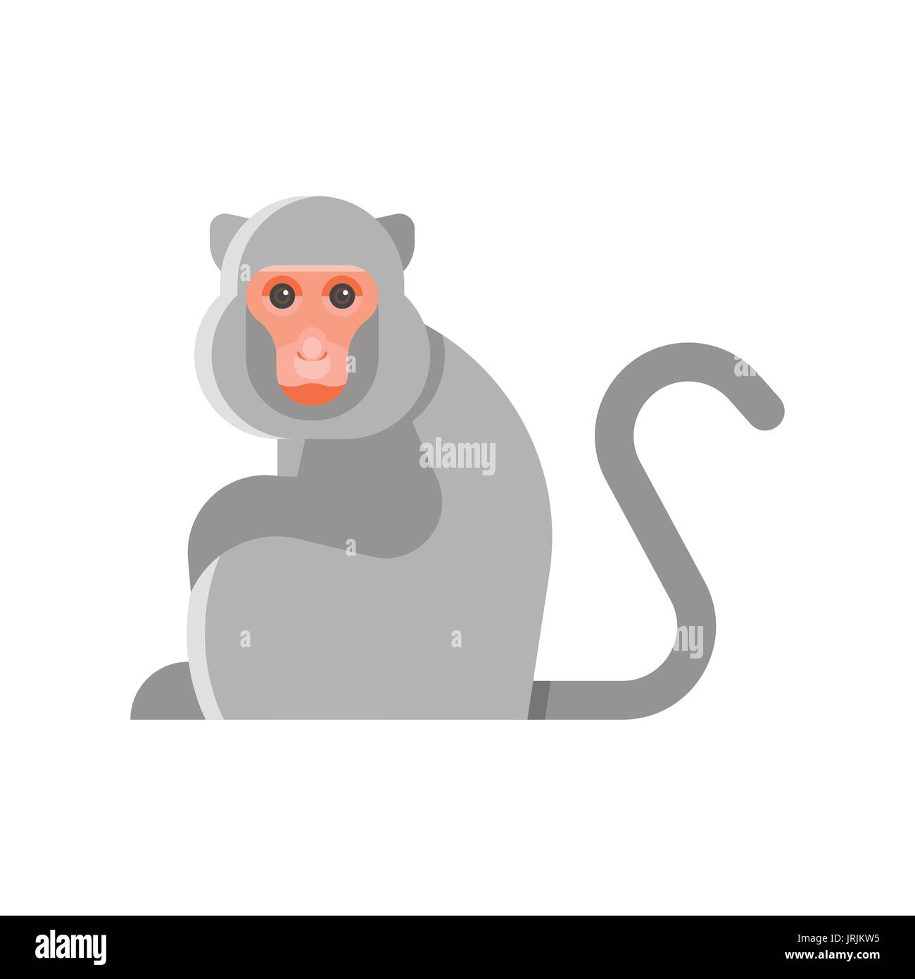 Macaque vector vectors hi-res stock photography and images - Alamy