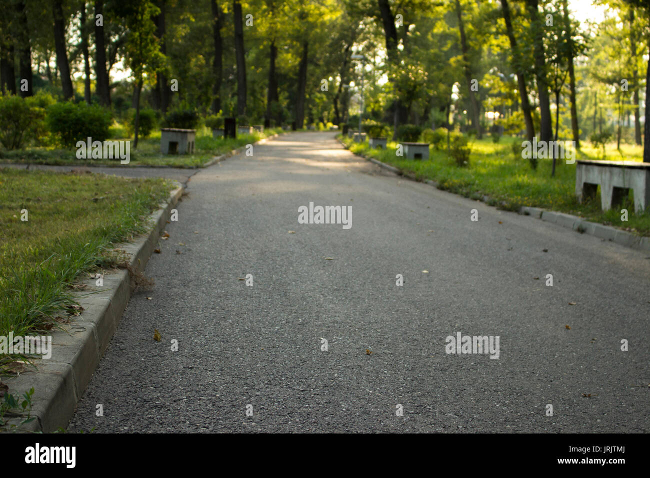 Blurred outdoor park scene in hi-res stock photography and images - Alamy