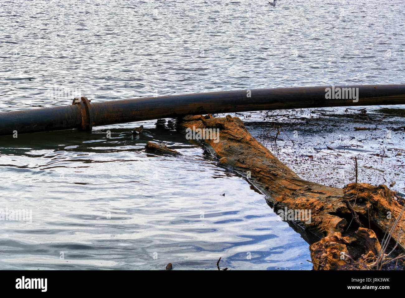 Pipeline, plastic pipes float on the water surface Stock Photo - Alamy