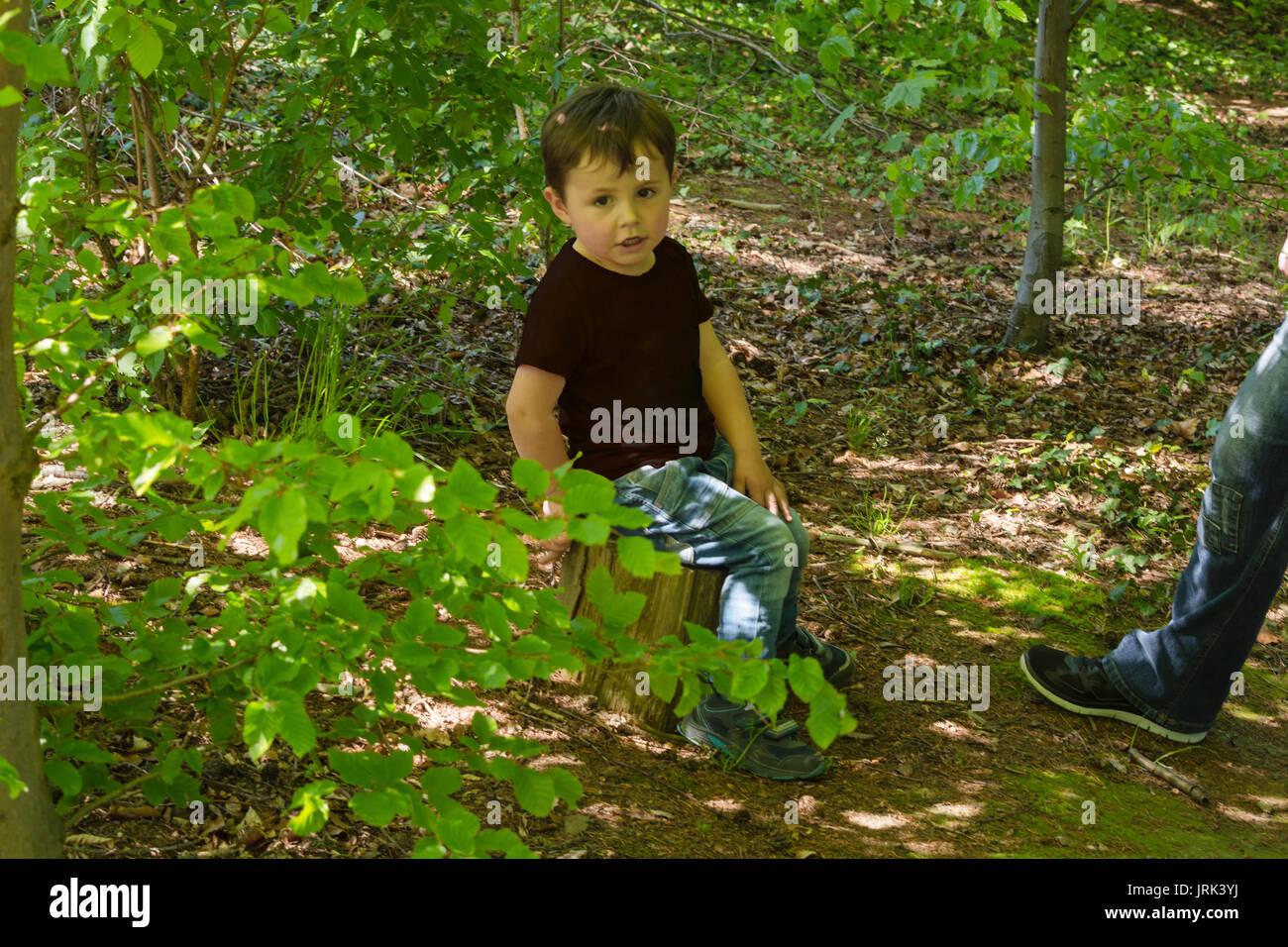 Little boy sitting on a tree trunk in the forest. Break after a walk ...