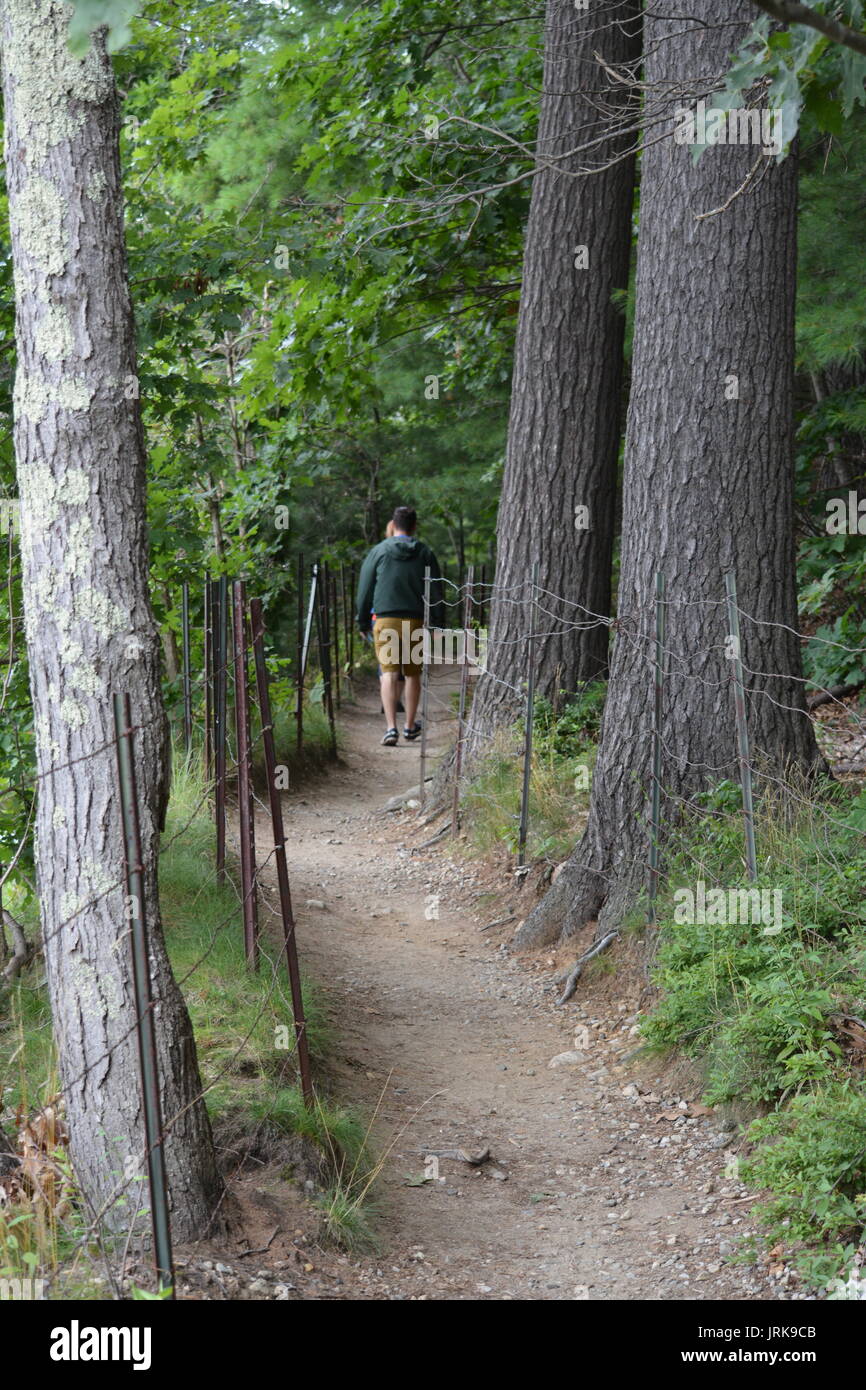 Transcendentalist Henry David Thoreau's Walden Pond and Cabin site in ...