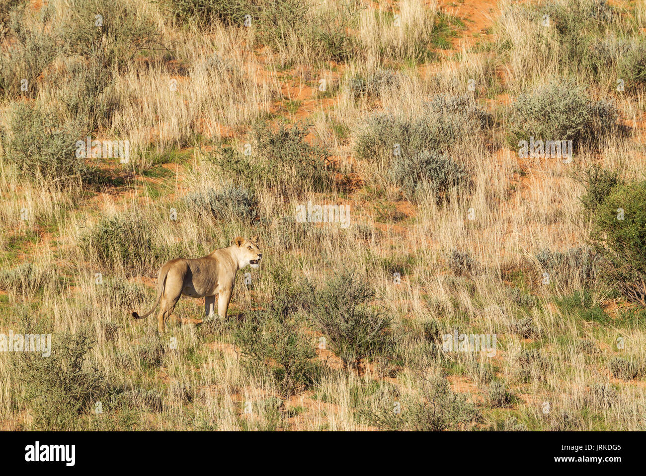 Daytimeoverview hi-res stock photography and images - Alamy