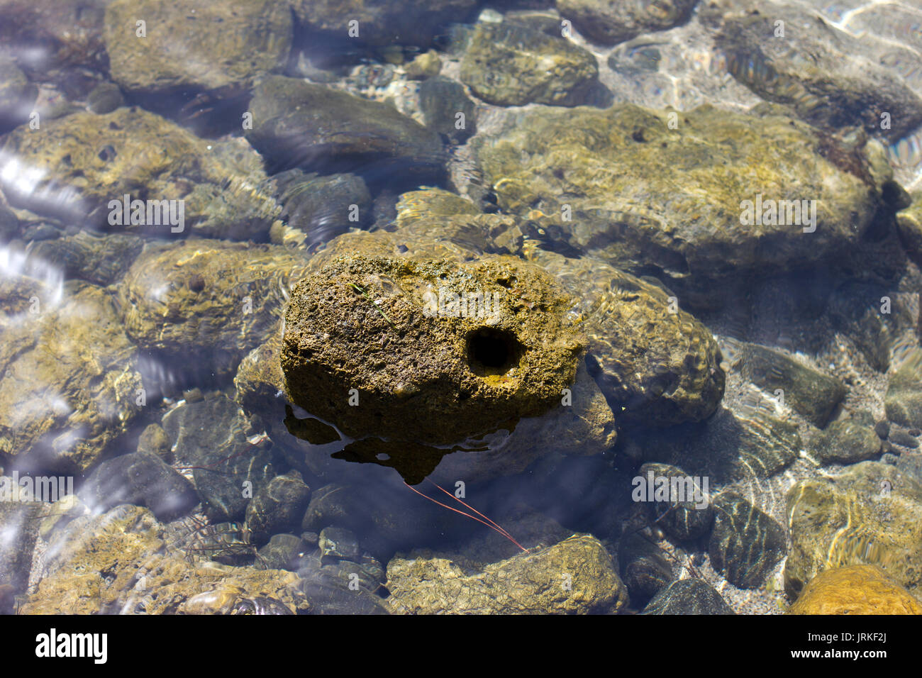 Stones on the beach at the sea under water Stock Photo - Alamy