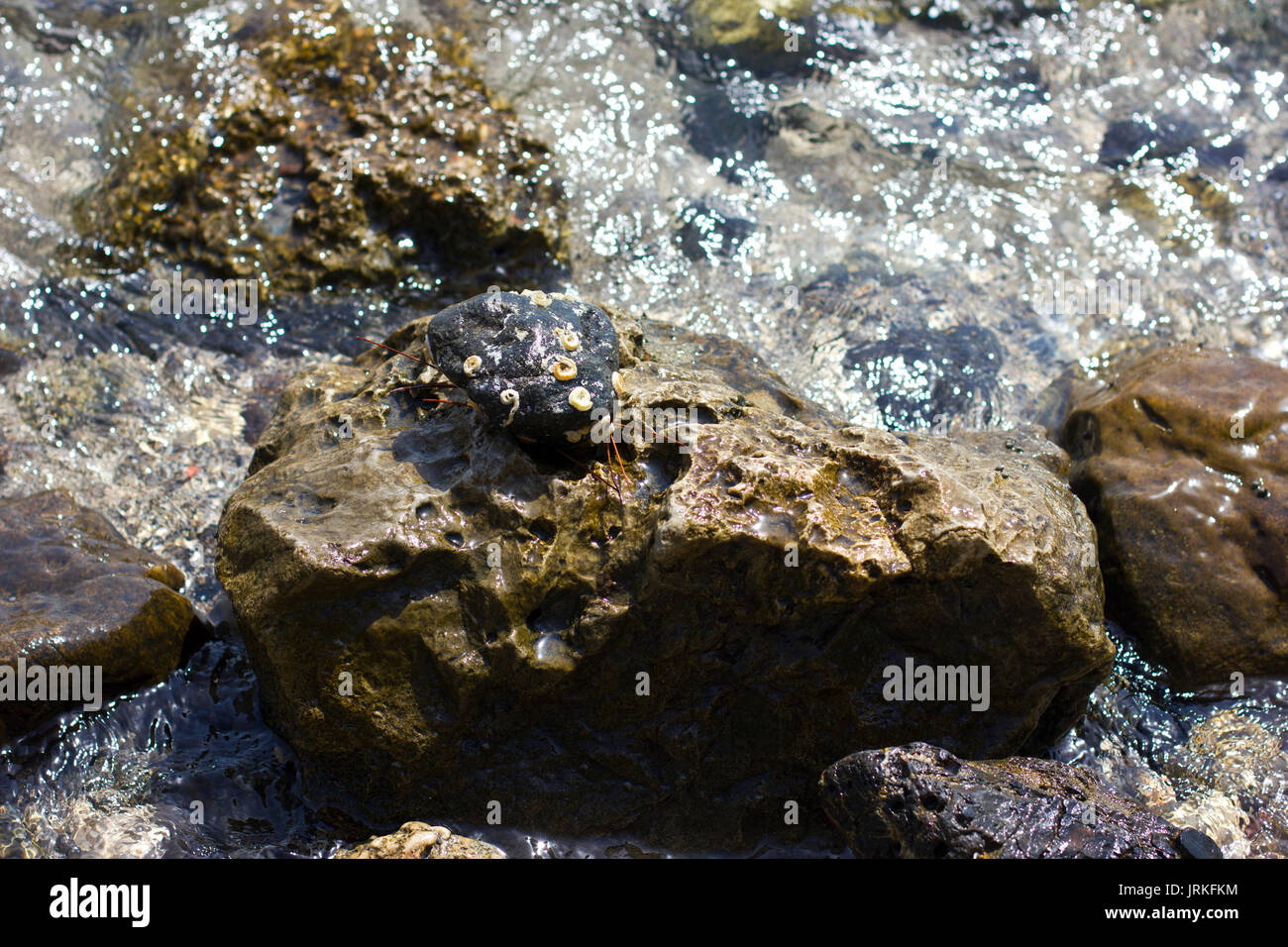 Stones on the beach at the sea under water Stock Photo - Alamy