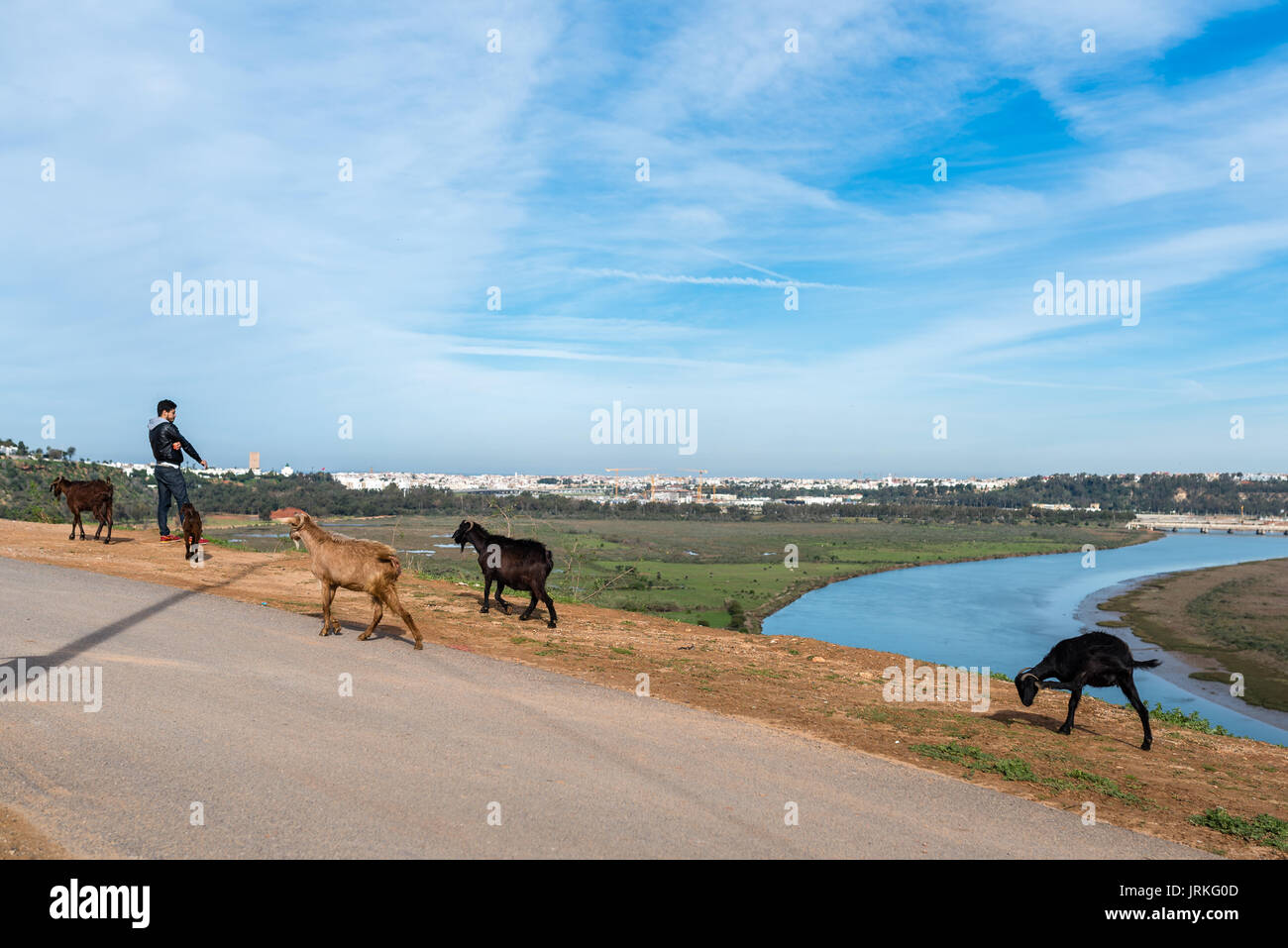 Man walking with his goats hi-res stock photography and images - Alamy