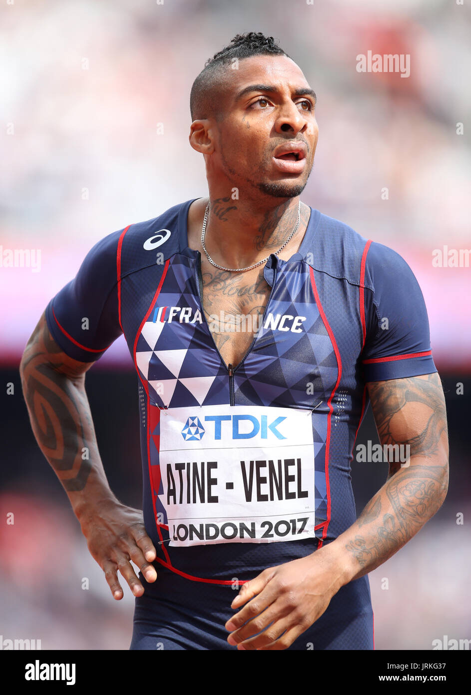 Atine venel hi-res stock photography and images - Alamy