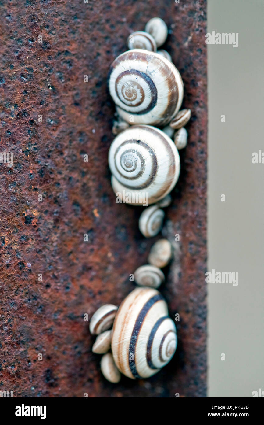 Old colony railroad hi-res stock photography and images - Alamy