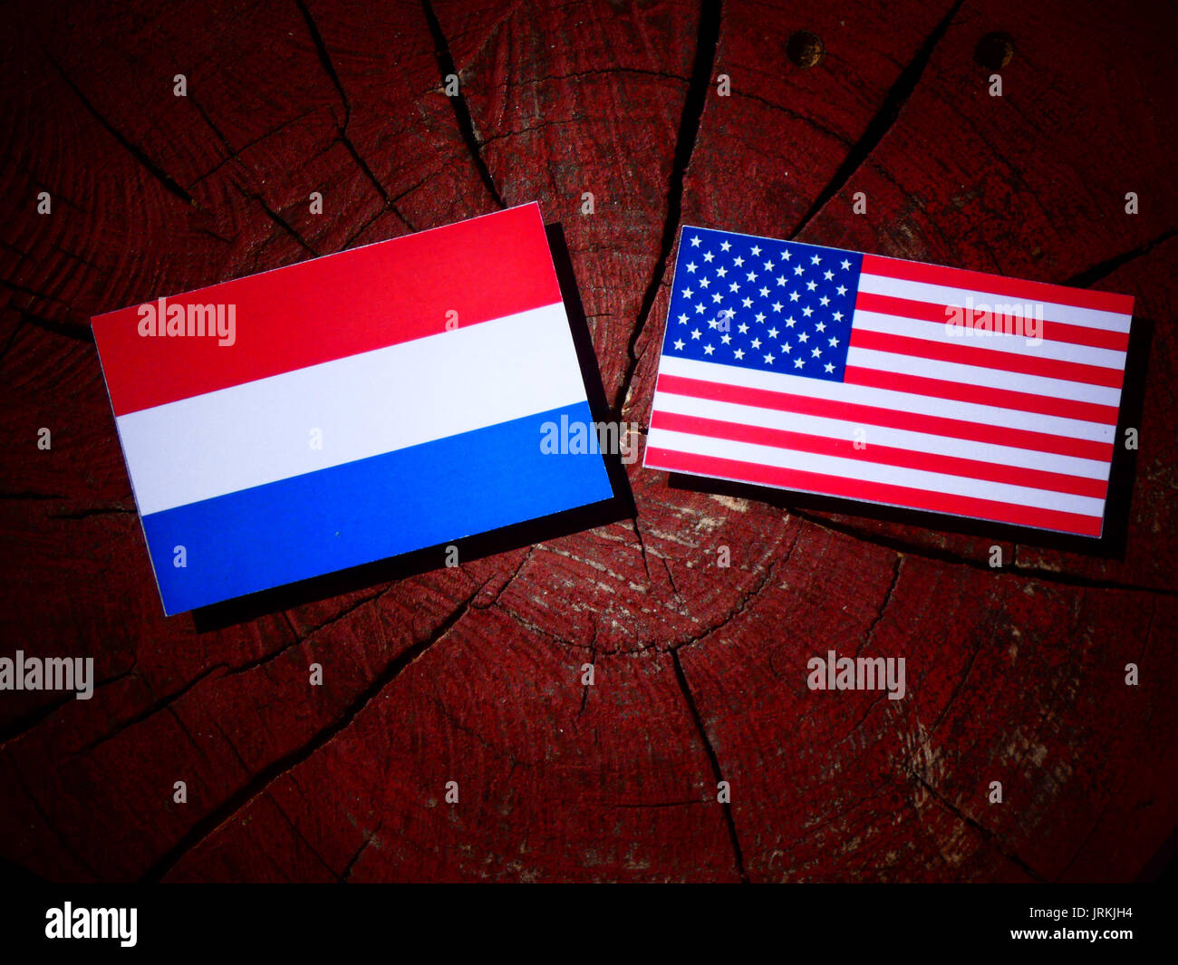 Dutch flag with USA flag on a tree stump isolated Stock Photo - Alamy
