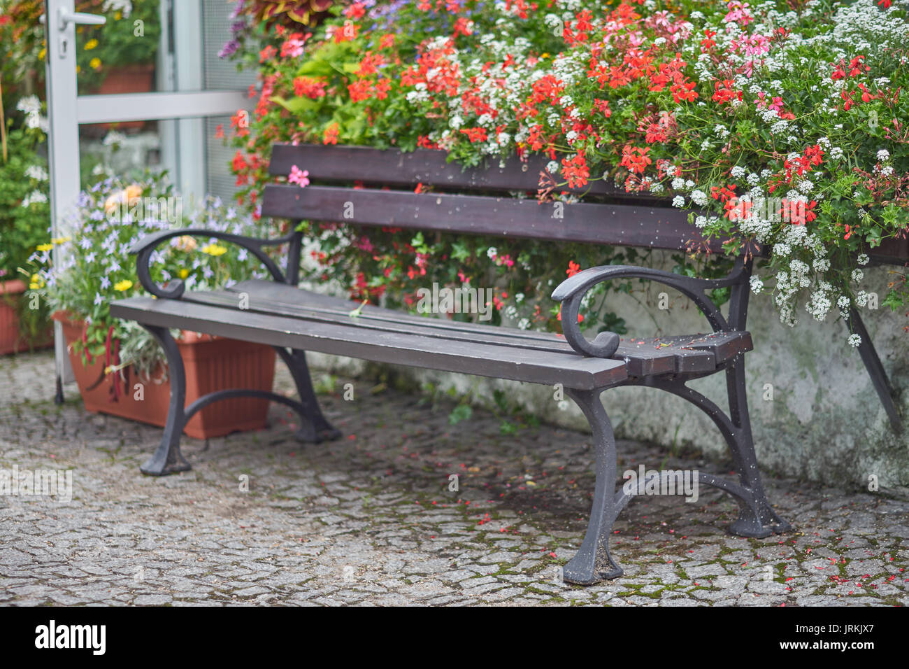 Bench surrounded by abundantly bloomng flowers in pots Botanical ...