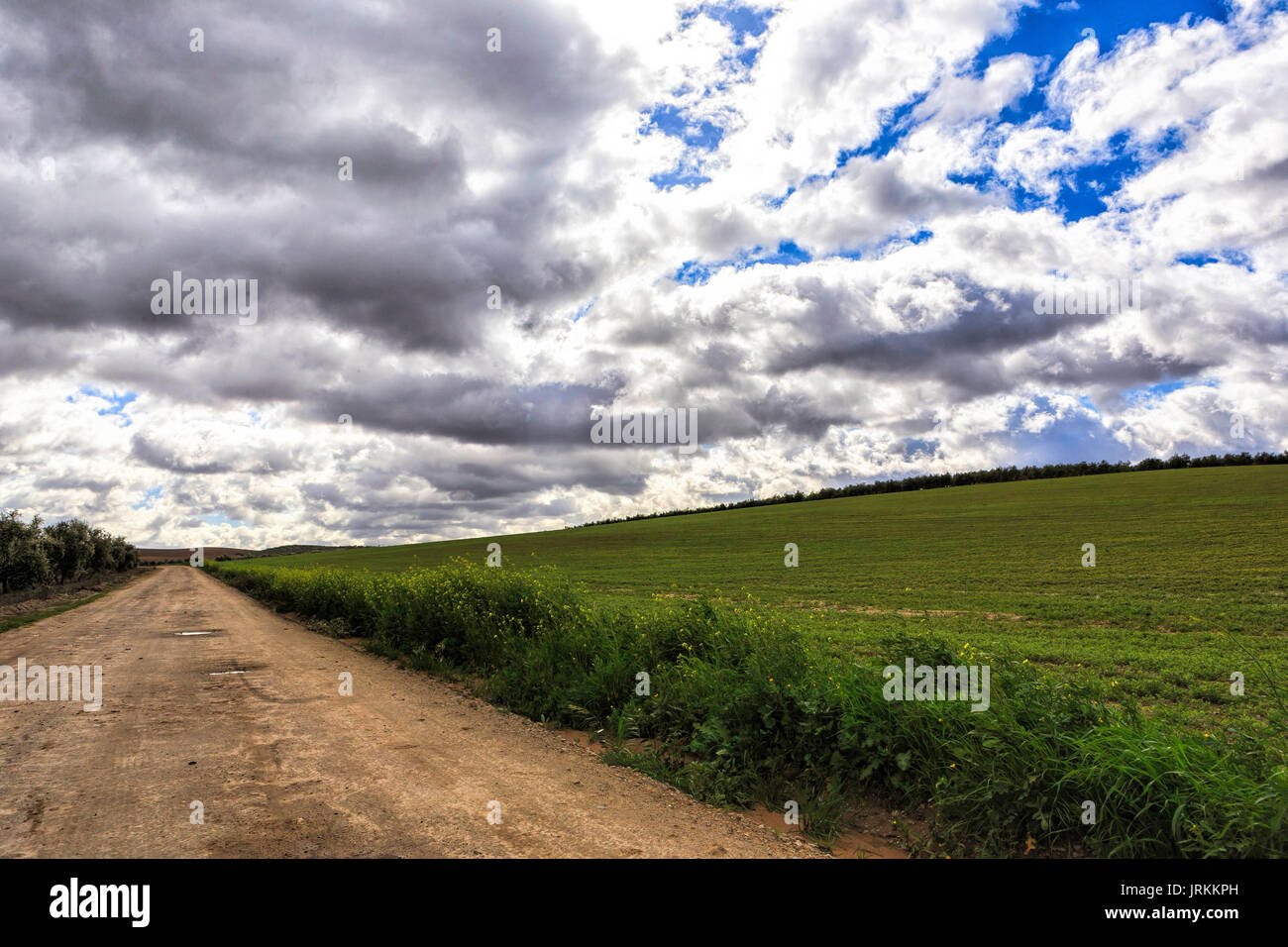Green grass road hi-res stock photography and images - Alamy