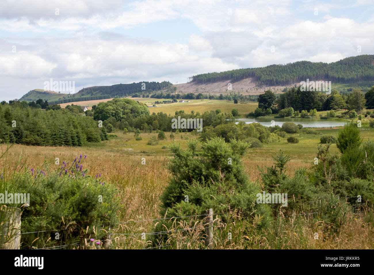 Scottish viewpoint hi-res stock photography and images - Alamy