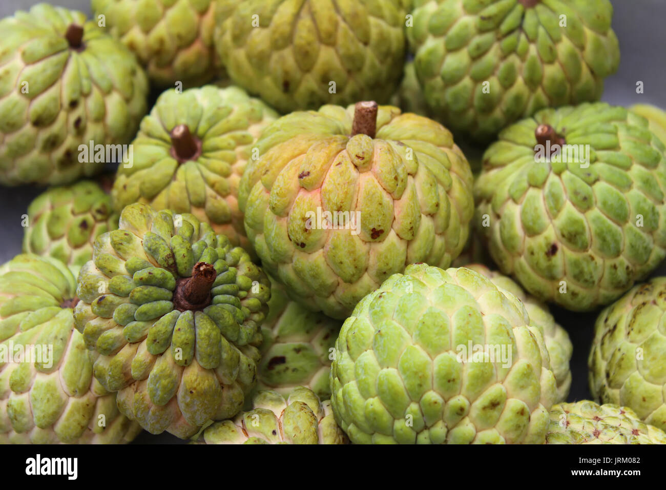Custard apple fruit Stock Photo - Alamy