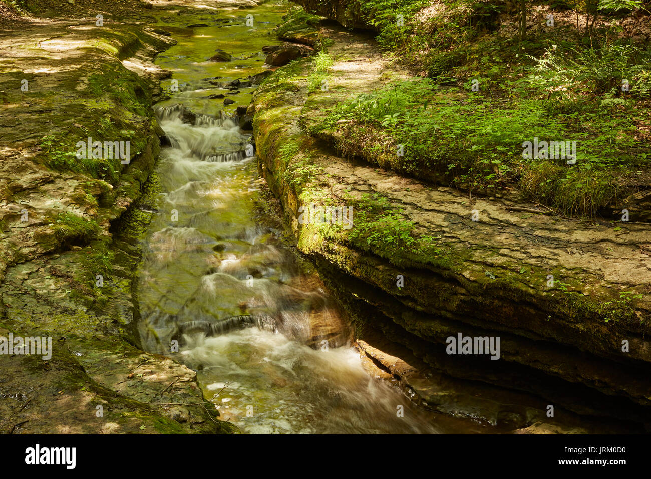 Slippery Rock Creek, McConnell's Mill State Park, Pennsylvania, USA ...