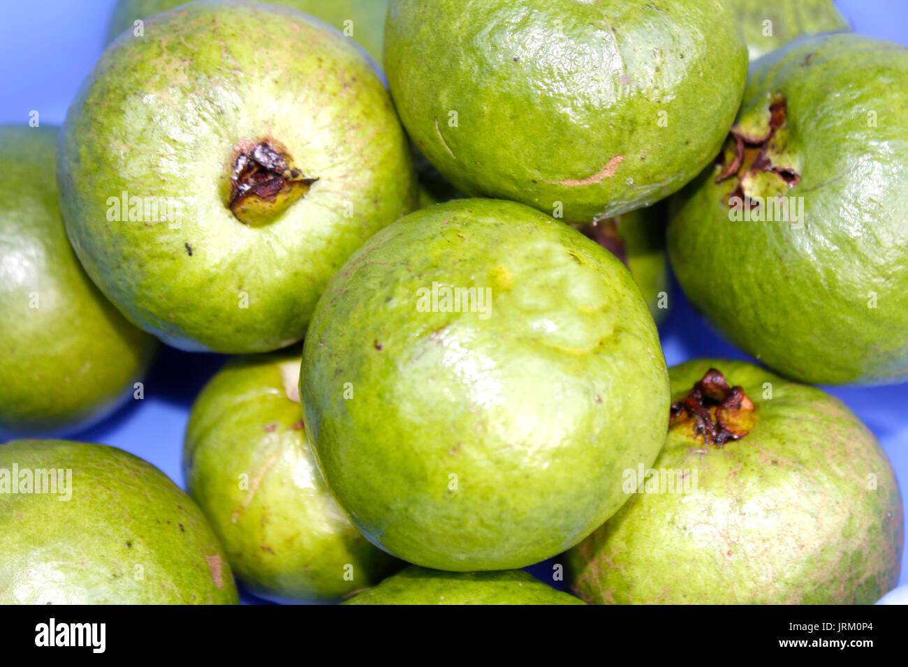 Guava vector hi-res stock photography and images - Alamy