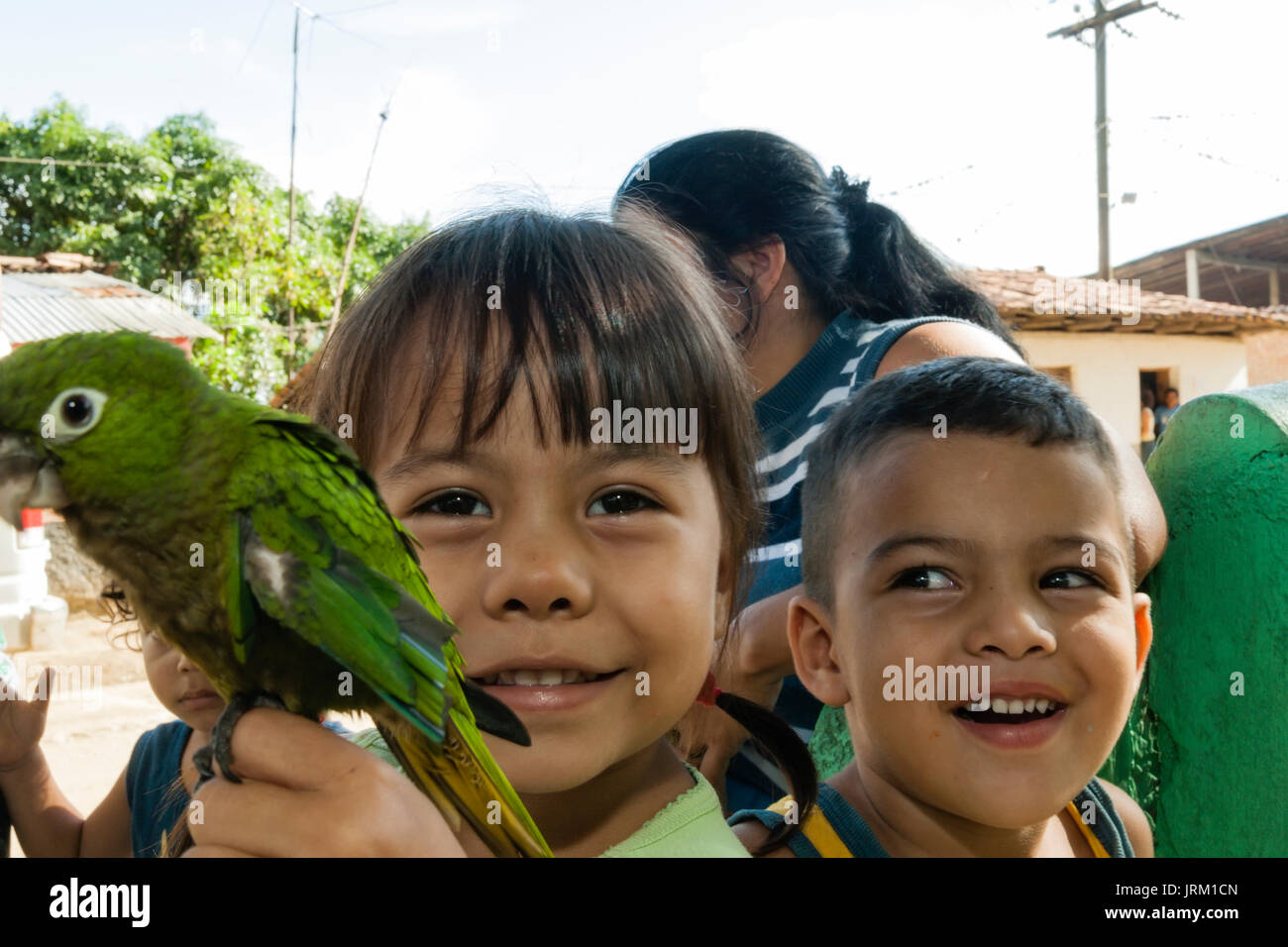 Pet parrot hi-res stock photography and images - Alamy